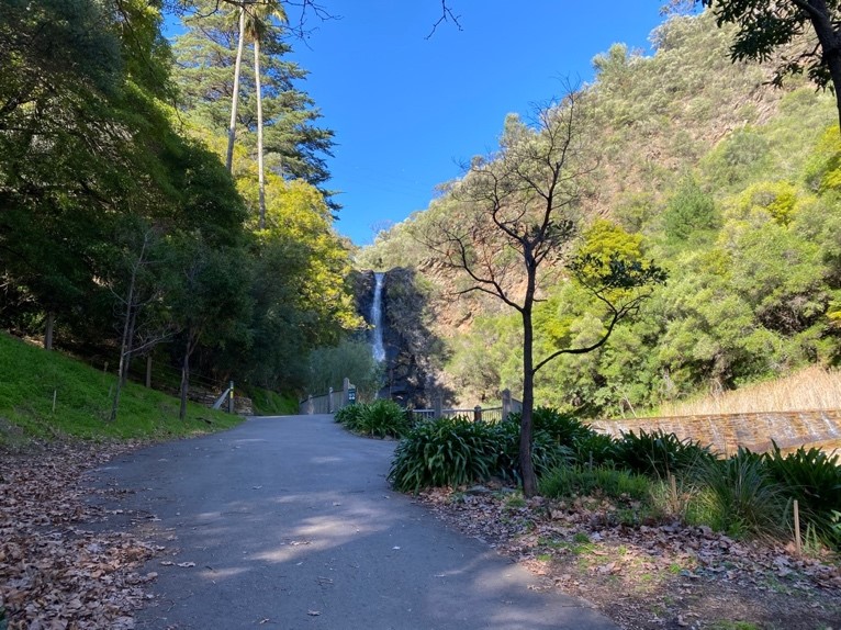 The top five walking spots in Adelaide