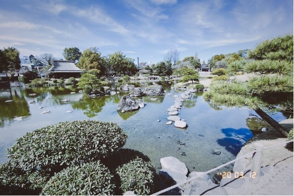 Destiny prevails through pandemic